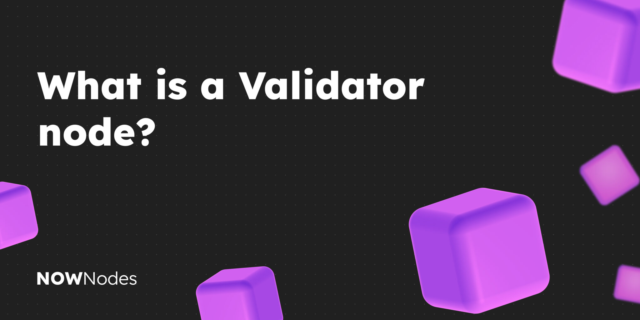 What is a Validator node?