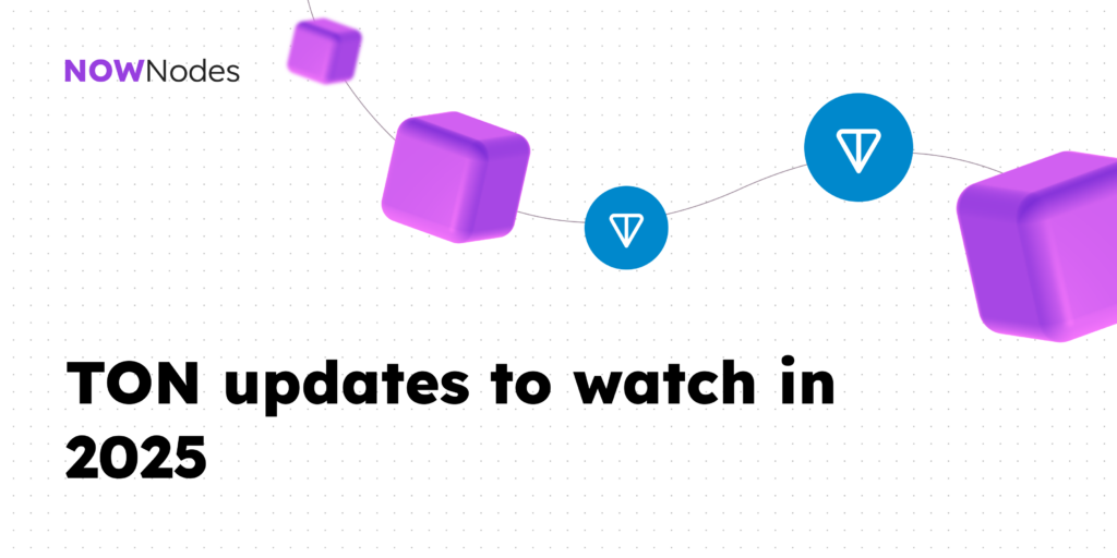 The Future of TON: Transforming the Blockchain Landscape | NOWNodes Blog