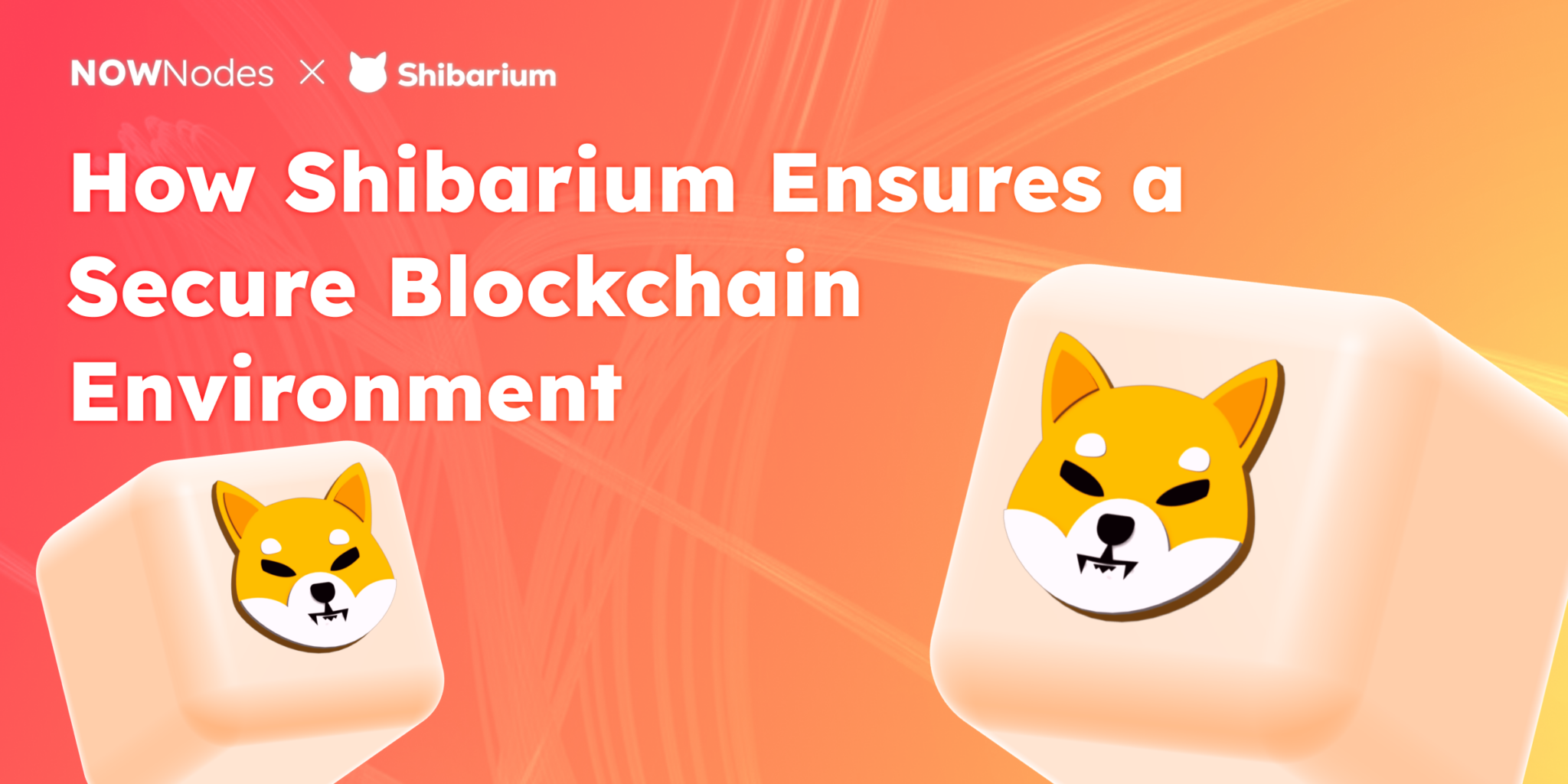How Shibarium Ensures a Secure Blockchain Environment | NOWNodes Blog