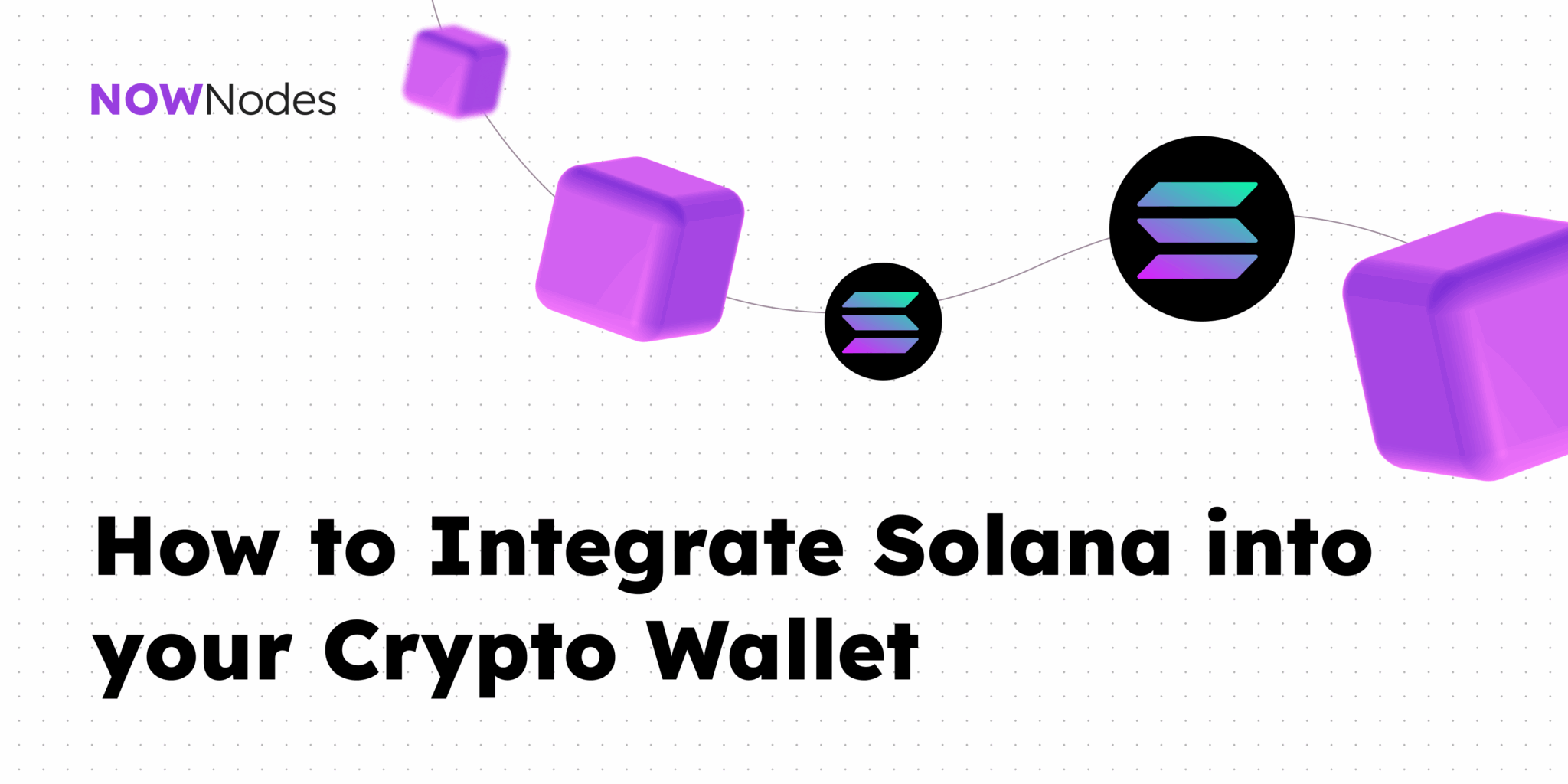 Best Base Crypto Wallets in 2025- Review by NOWNodes